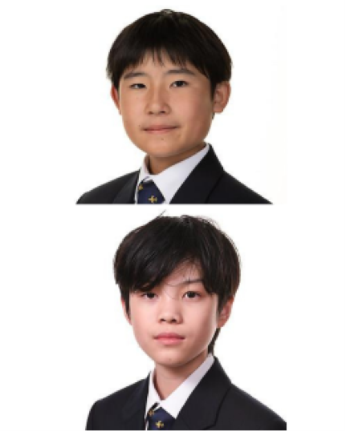 Strong Results for the National Bebras Challenge | News | Shrewsbury School
