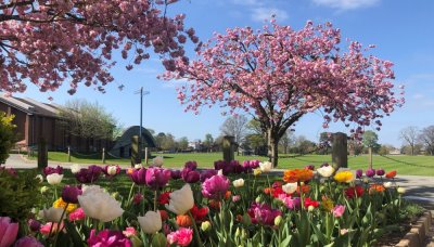 Headmaster Leo Winkley's 'Letters from Shrewsbury' | Shrewsbury School