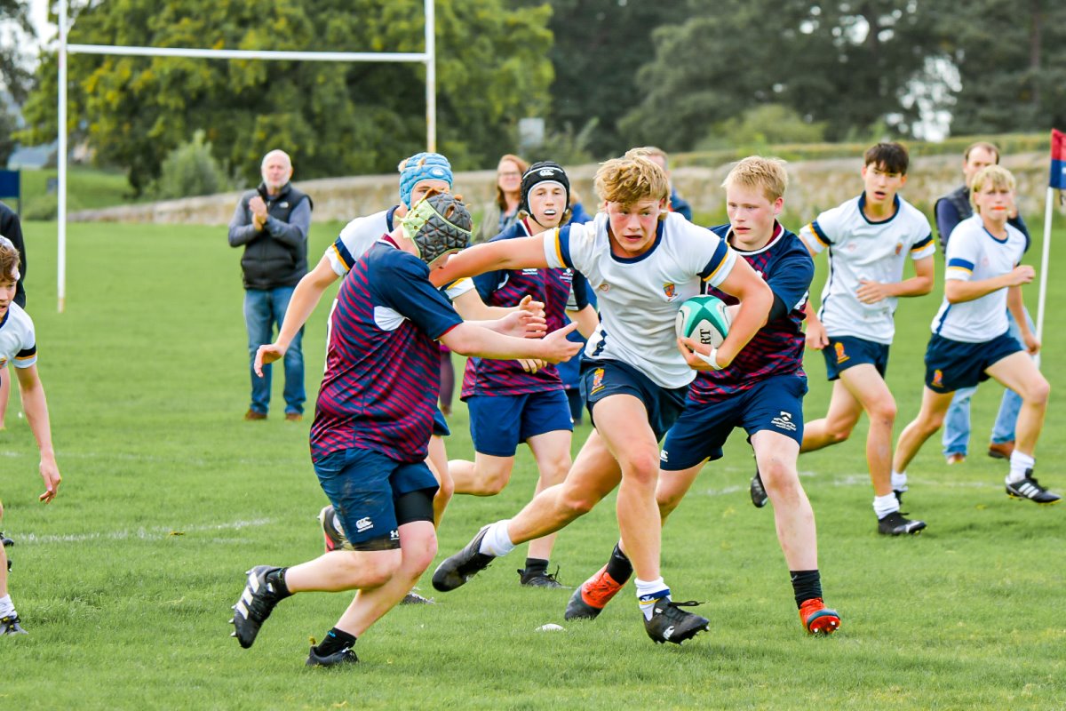 Stalwart of Shrewsbury Rugby selected for England Lambs squad | News ...